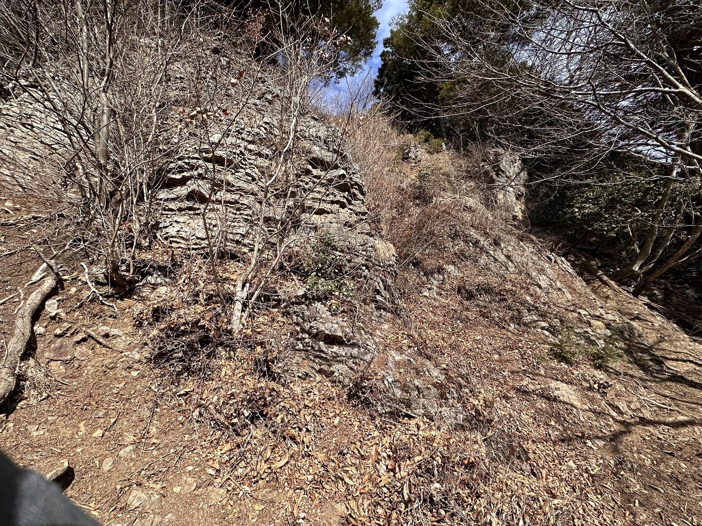 さりーさんの投稿したフィールドメモ | YAMAP / ヤマップ