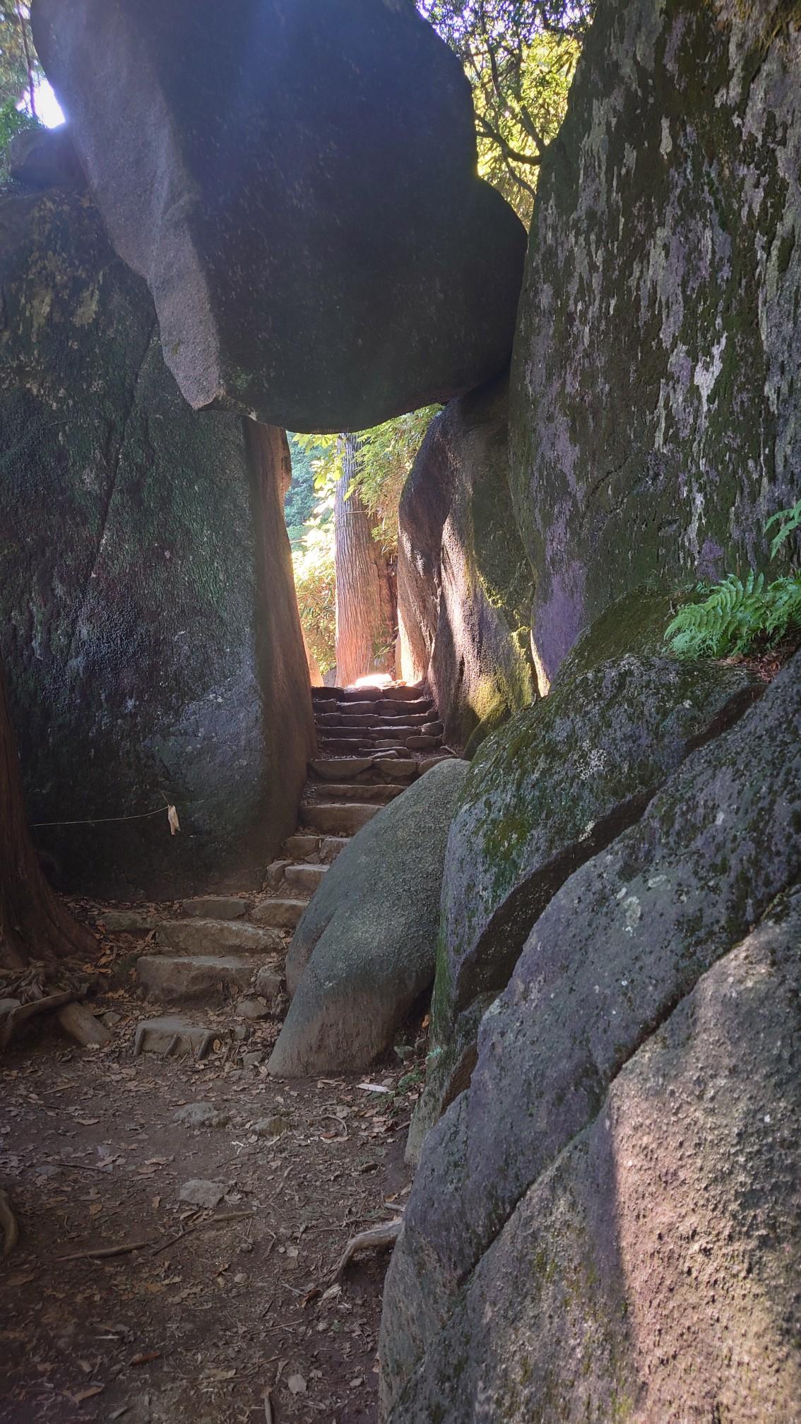 筑波山（女体山） / su-taku⛰さんの筑波山の活動データ | YAMAP / ヤマップ