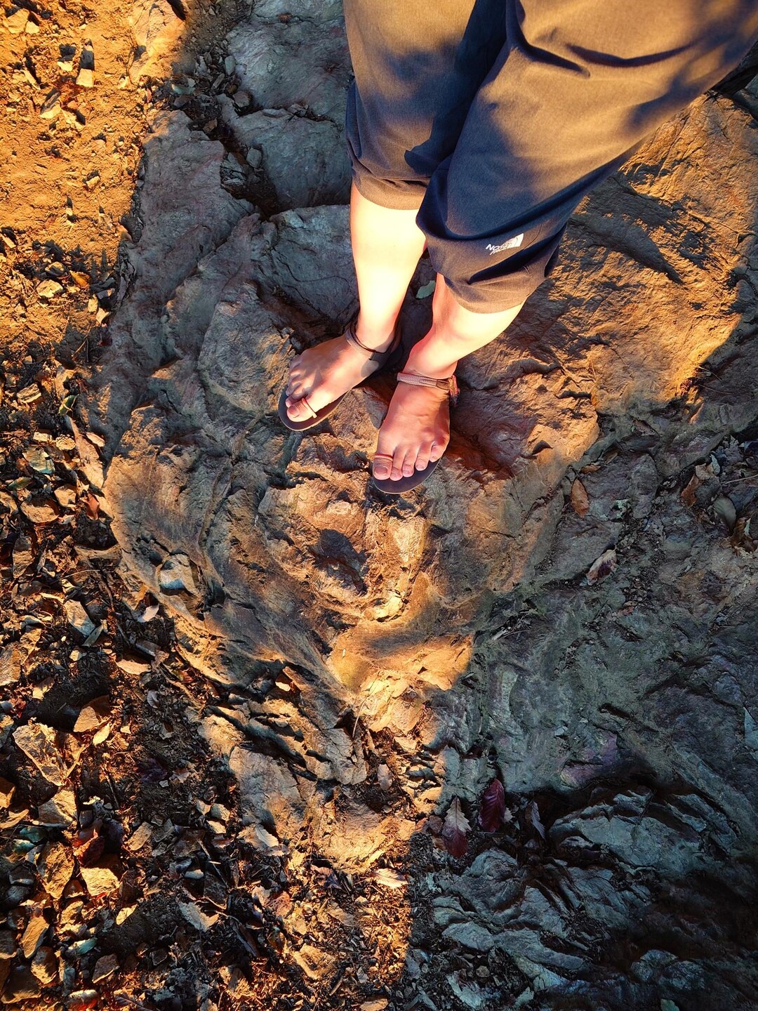 ヘッデンスタート Wt+5kg / ta2さんの鳴神山・吾妻山の活動データ | YAMAP / ヤマップ