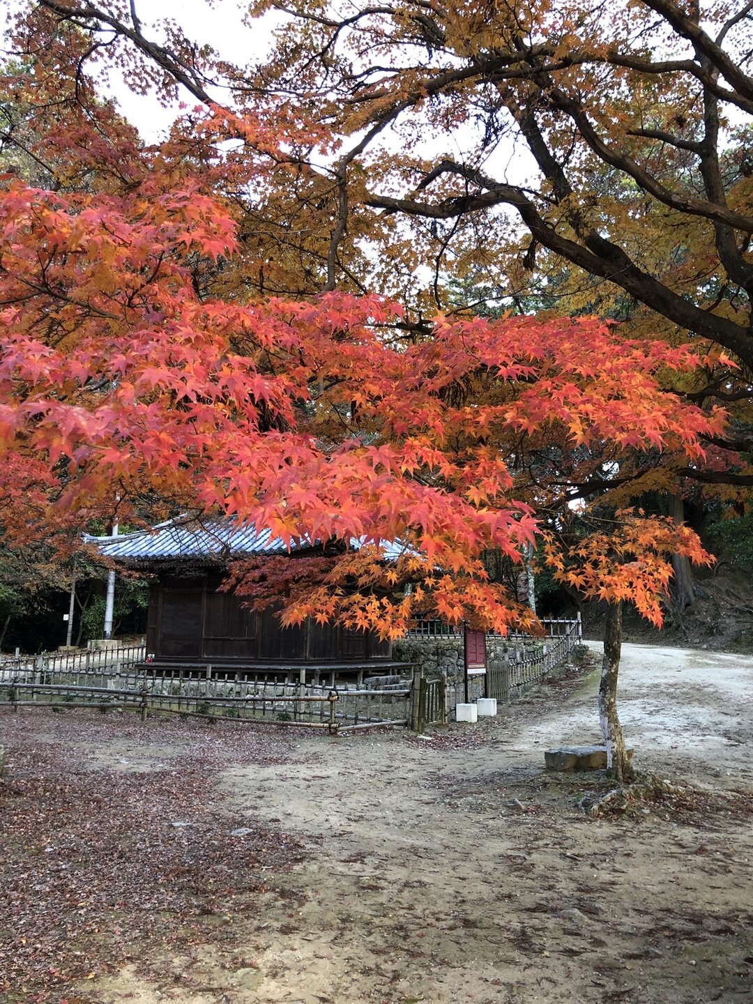 書写山（西坂〜西坂）pm / オバオバ（OBAOBA）さんの書写山・伊勢山・とんがり山の活動データ | YAMAP / ヤマップ