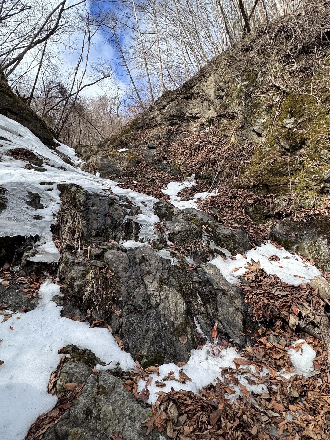 もう春の気配☀️ まだまだもう少し ️... / chizuさんのモーメント | YAMAP / ヤマップ