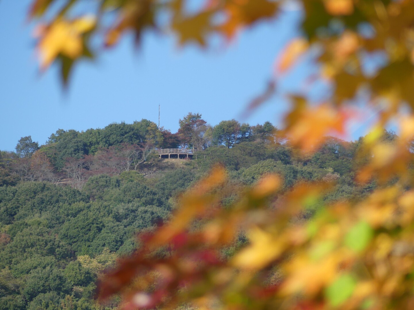 ウォーキング-2024-11-09 / KAZU3さんの龍王山の活動データ | YAMAP / ヤマップ