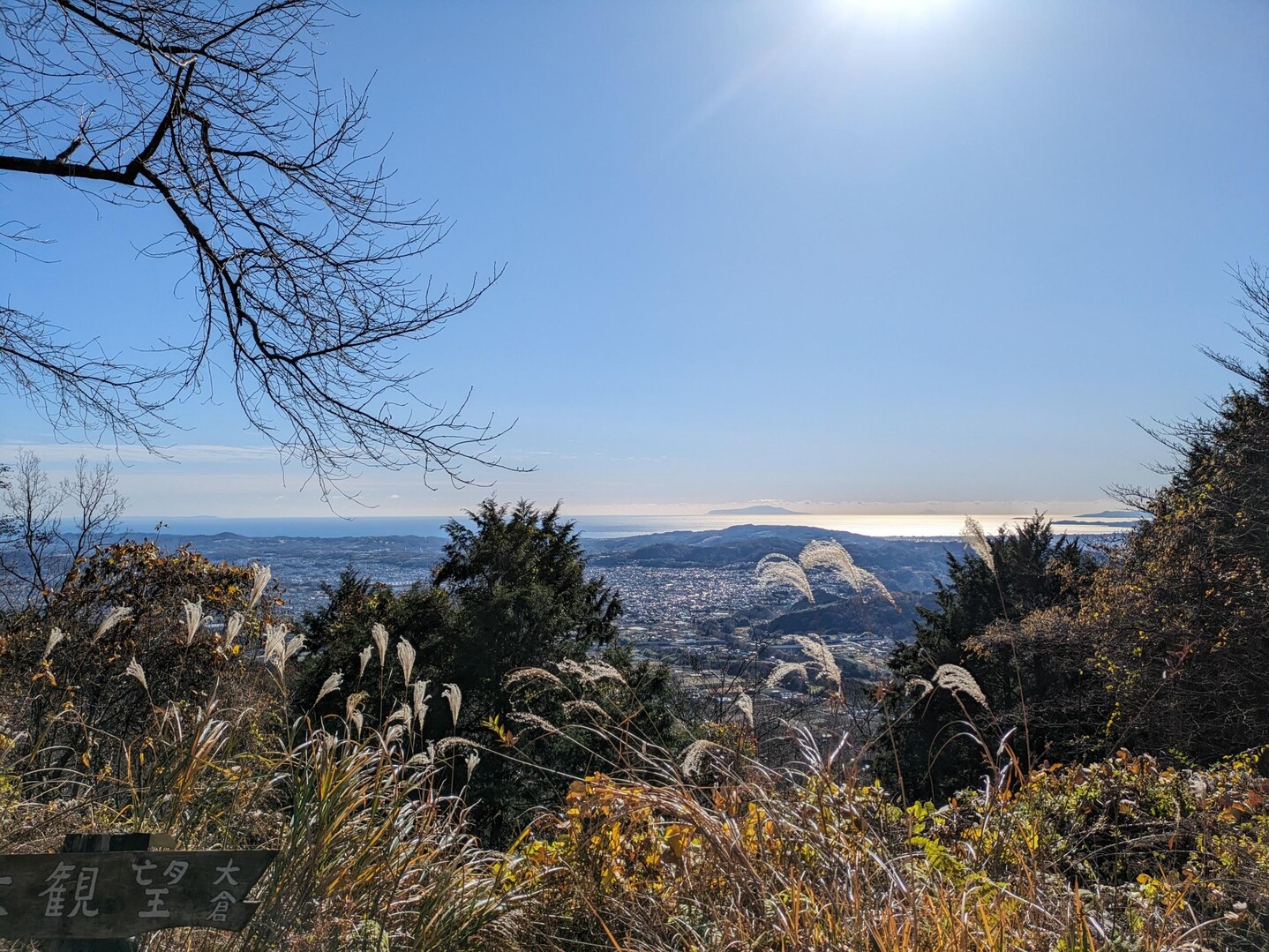 丹沢トレーニング / Erwin_Zさんの塔ノ岳・丹沢山・蛭ヶ岳の活動データ | YAMAP / ヤマップ