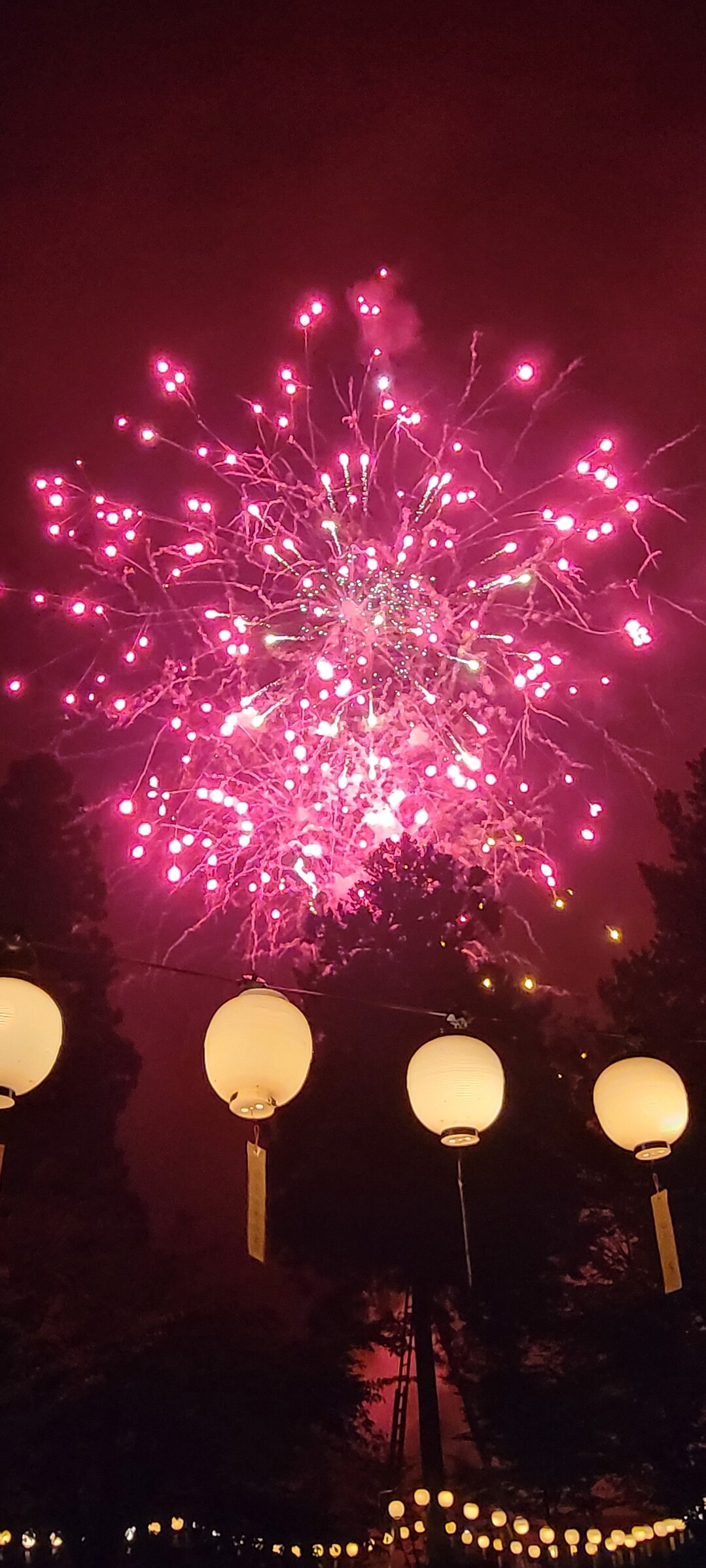 3年ぶり？ 木崎湖花火大会&戦没者慰霊灯... / hirohiroさんのモーメント | YAMAP / ヤマップ