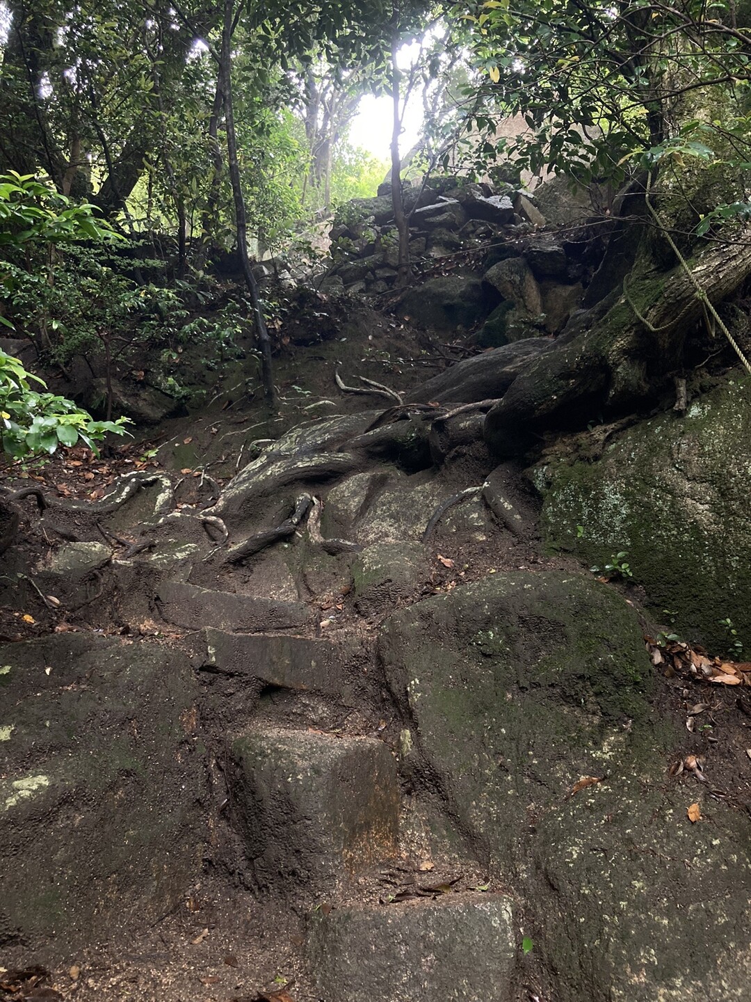 kazz309さんの投稿したフィールドメモ | YAMAP / ヤマップ