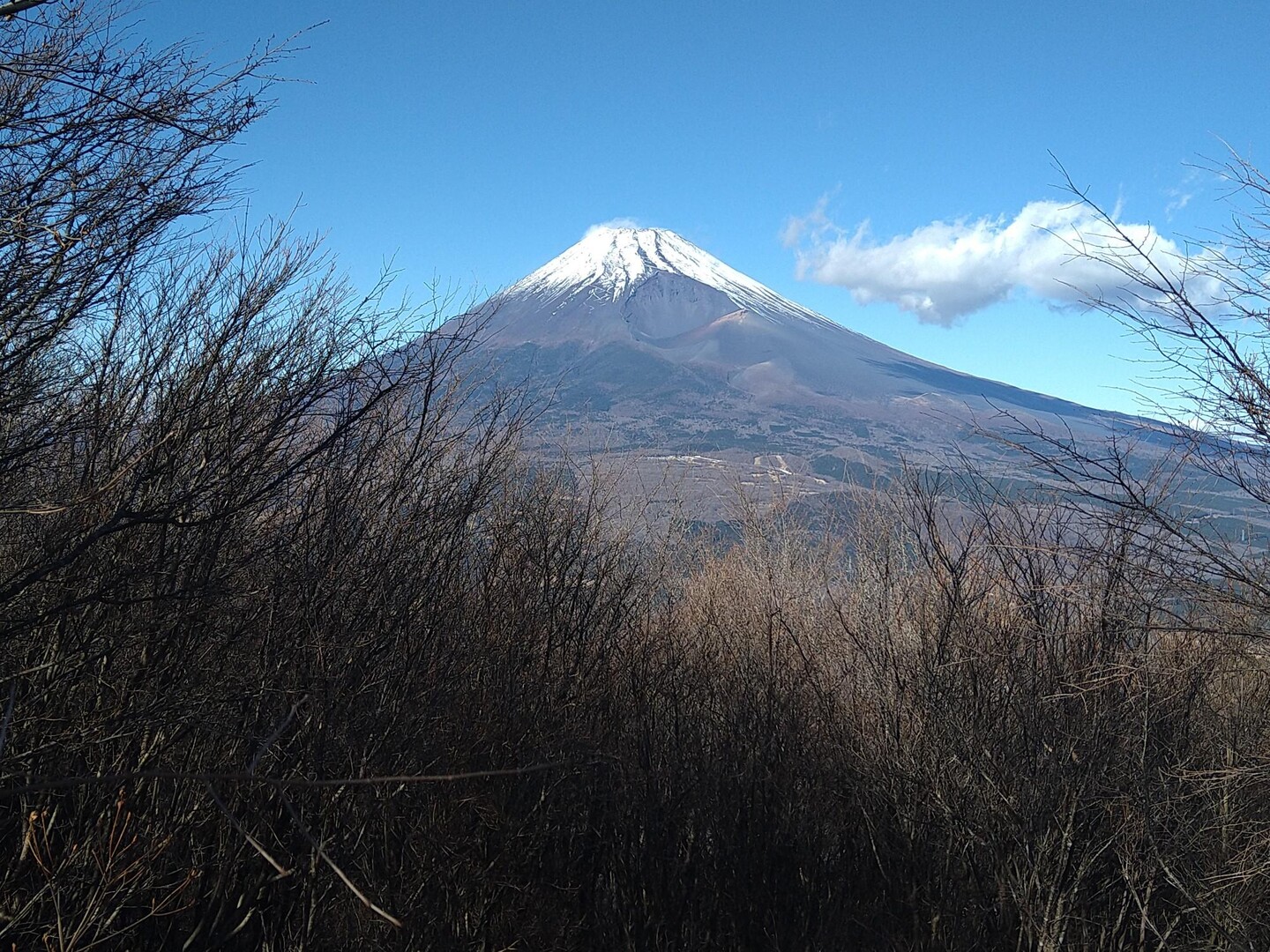 黒岳・越前岳は富士山展望台 / yossyさんのFUJISAN LONG TRAIL（愛鷹・富士南麓エリア SOUTH）の活動データ | YAMAP / ヤマップ