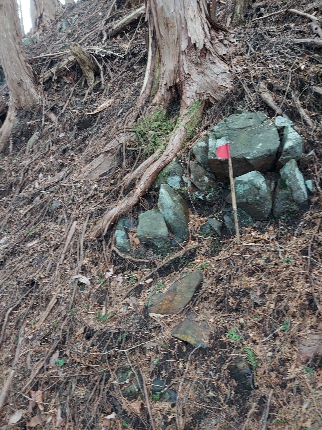 あおむしさんの投稿したフィールドメモ | YAMAP / ヤマップ