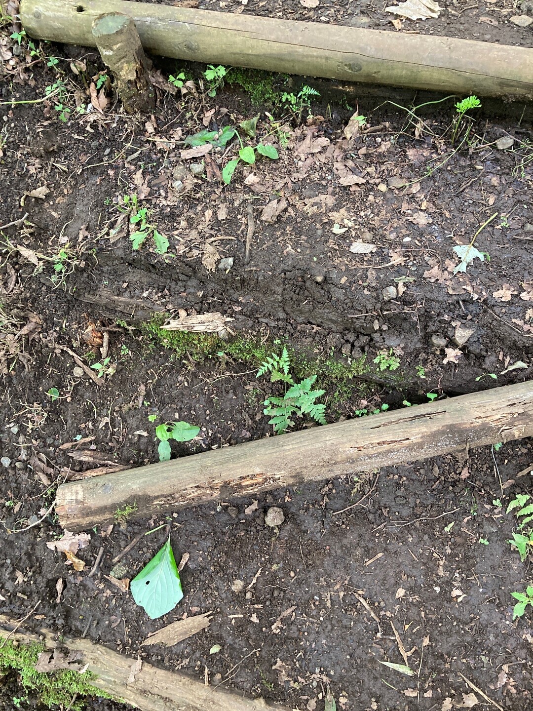 Nakkoさんさんの投稿したフィールドメモ | YAMAP / ヤマップ