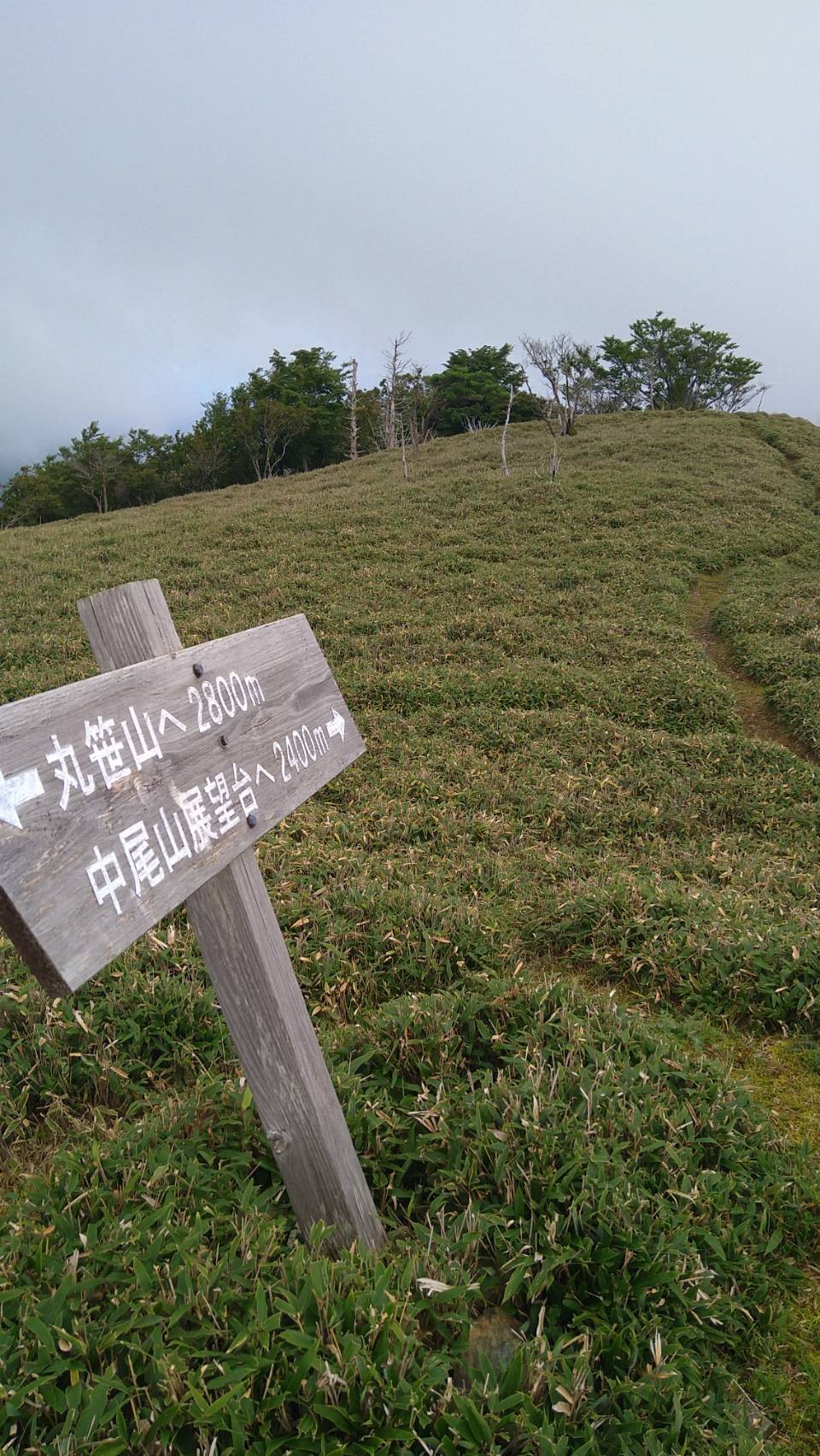 赤帽子山・丸笹山 / h3さんの剣山の活動データ | YAMAP / ヤマップ