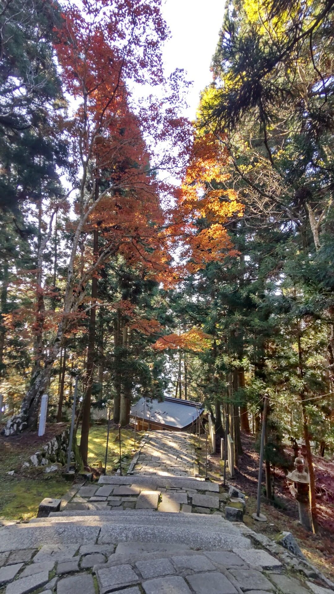 愛宕山 / zen sugiさんの愛宕山・三頭山・朝日峯の活動データ | YAMAP / ヤマップ