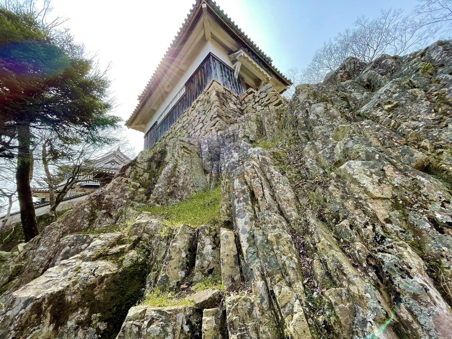 臥牛山🐃備中松山城🏯牛に猫の山と城 / sayo_hseさんの備中松山城の活動データ | YAMAP / ヤマップ