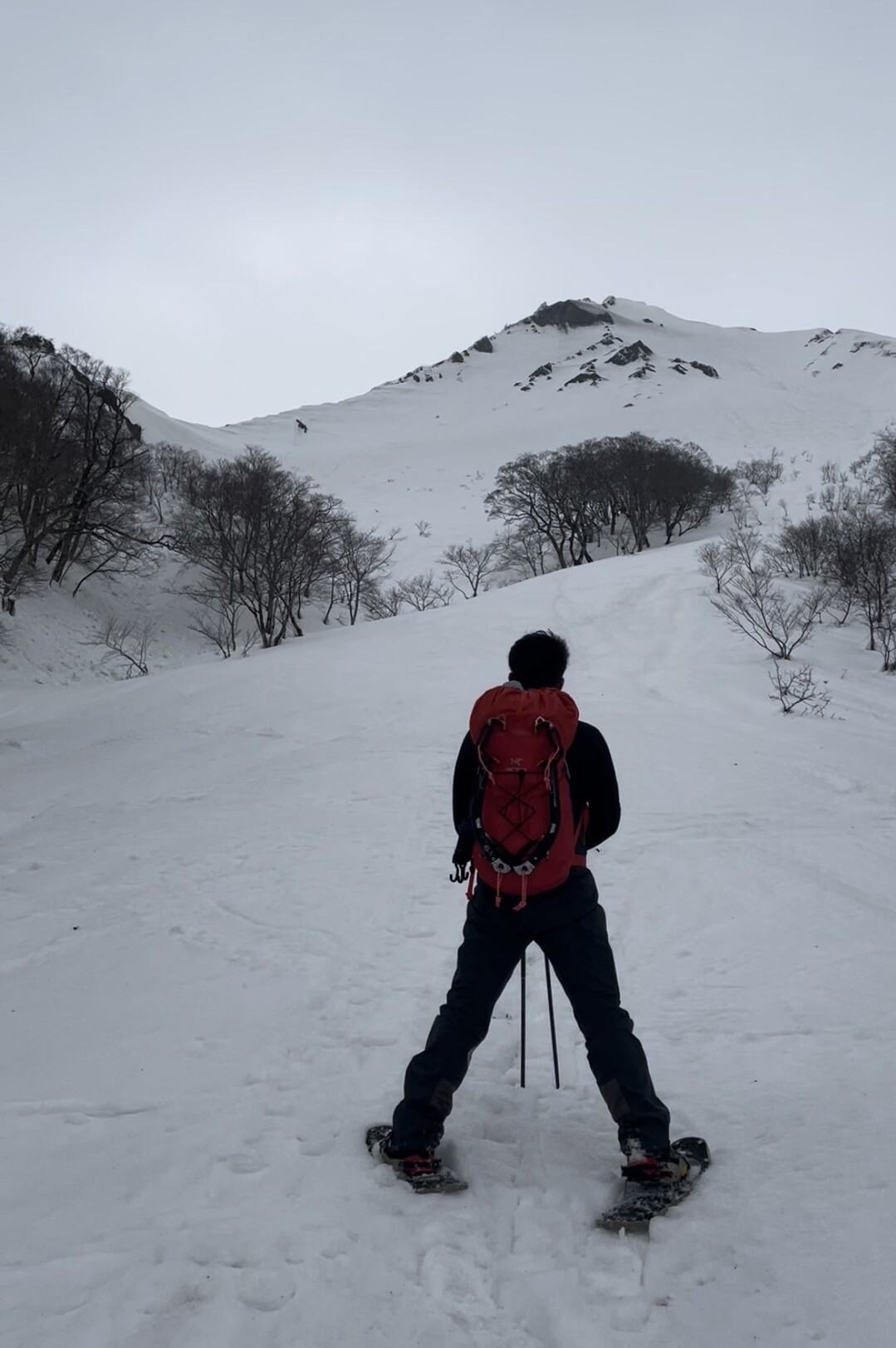 風速20mのキリン🦒トレーニング！2022-03-05 / ハルさんさんの大山・甲ヶ山・野田ヶ山の活動データ | YAMAP / ヤマップ