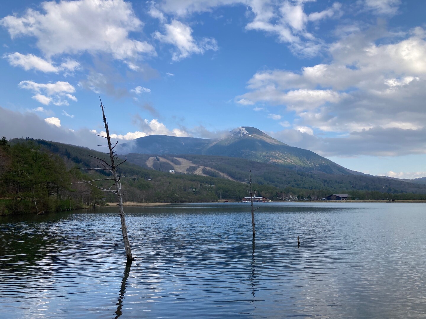 女神湖walking-2022-05-07 / 雅無乱さんのウォーキングの活動データ | YAMAP / ヤマップ