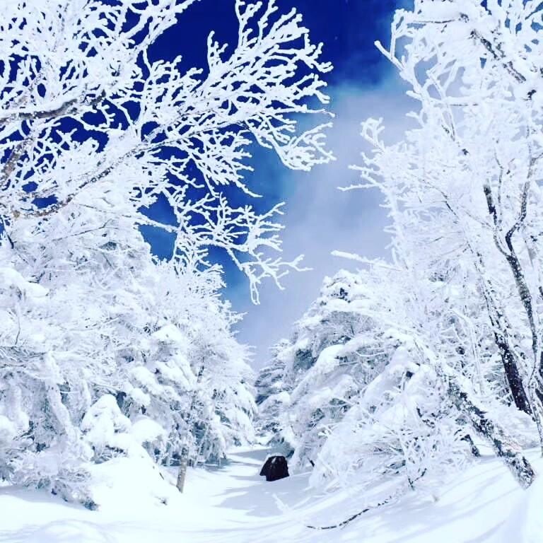 蓼科山 / PON TWOさんの蓼科山・横岳・縞枯山の活動データ | YAMAP / ヤマップ