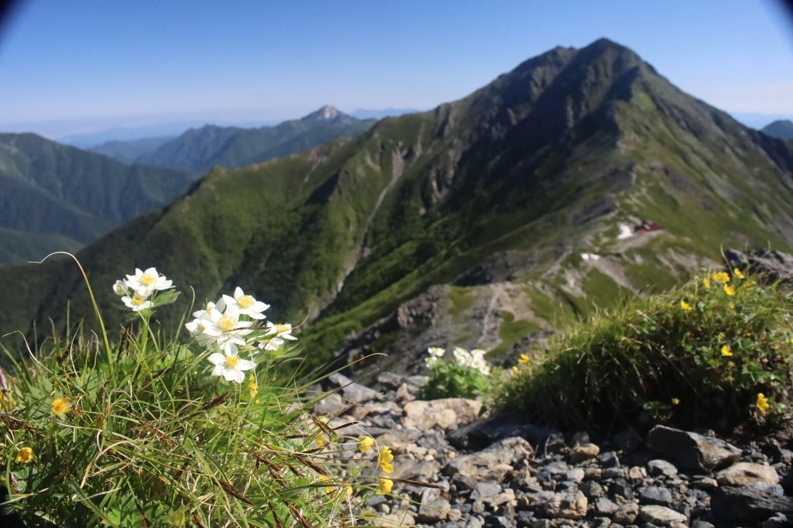 夏合宿前哨戦 / K.Ryotaさんの北岳・間ノ岳・農鳥岳の活動データ | YAMAP / ヤマップ