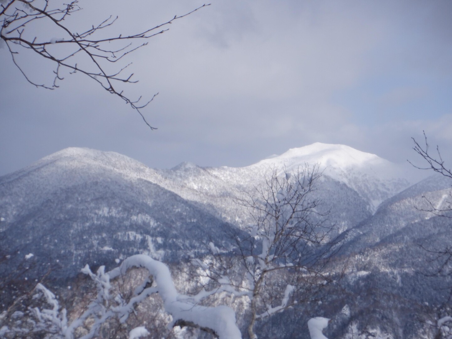 雲知来内岳 / sapさんの雲知来内岳の活動データ | YAMAP / ヤマップ