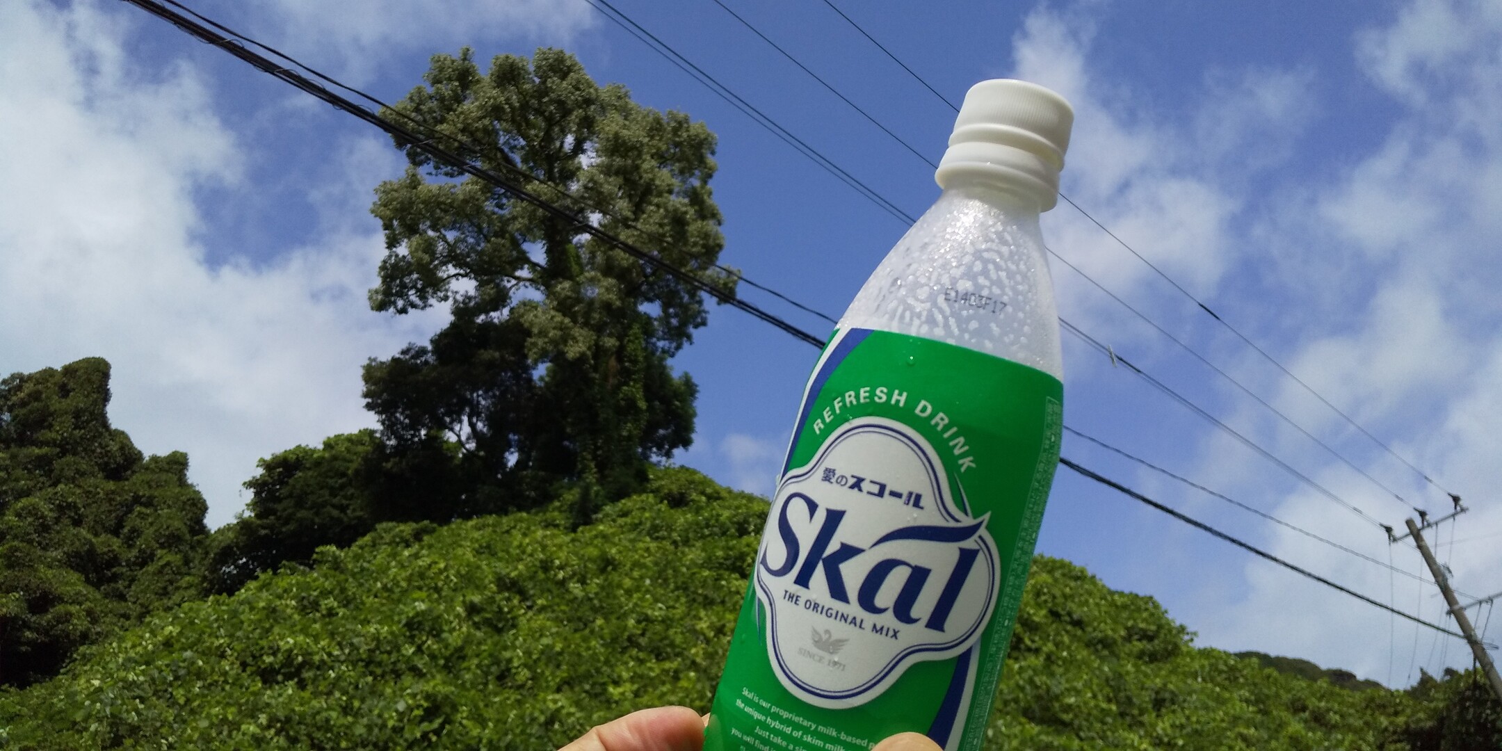 天拝山・基山縦走👕💦 / mountzen さんの天拝山・基山の活動データ | YAMAP / ヤマップ