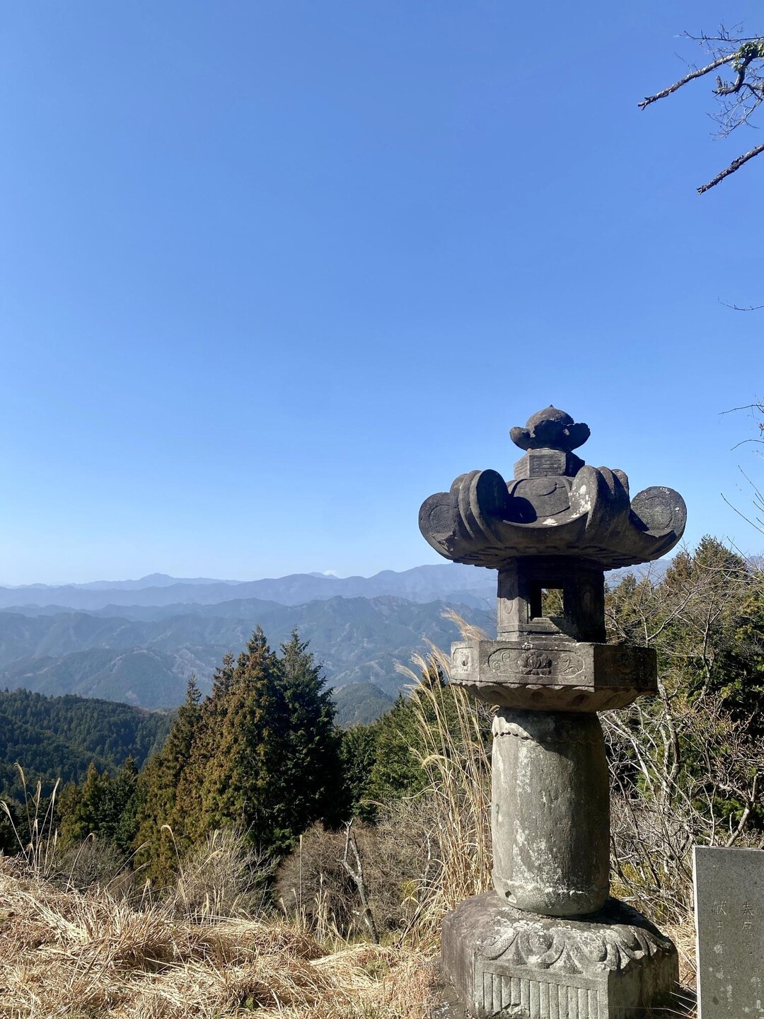 関八州見晴台・虎秀山 / OS@MUさんの関八州見晴台の活動データ | YAMAP / ヤマップ