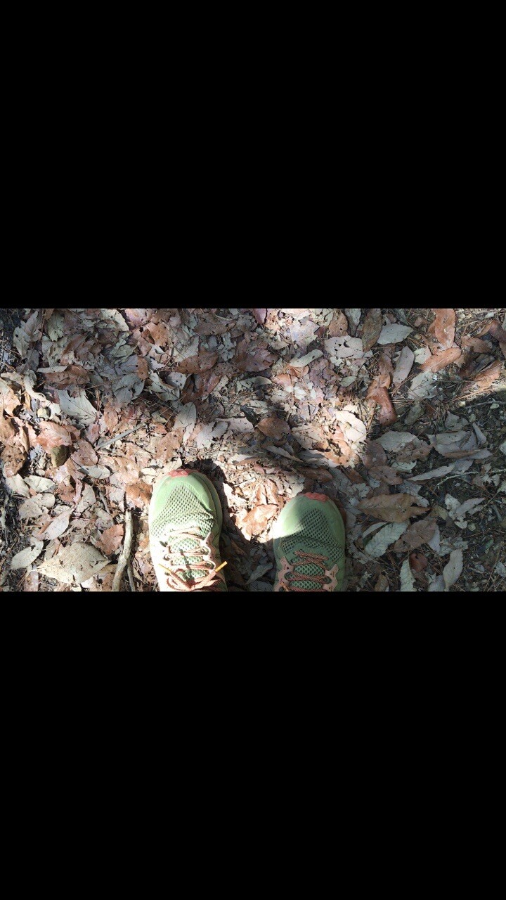 時間ないけど天王山 / NNNRさんのウォーキングの活動日記 | YAMAP / ヤマップ