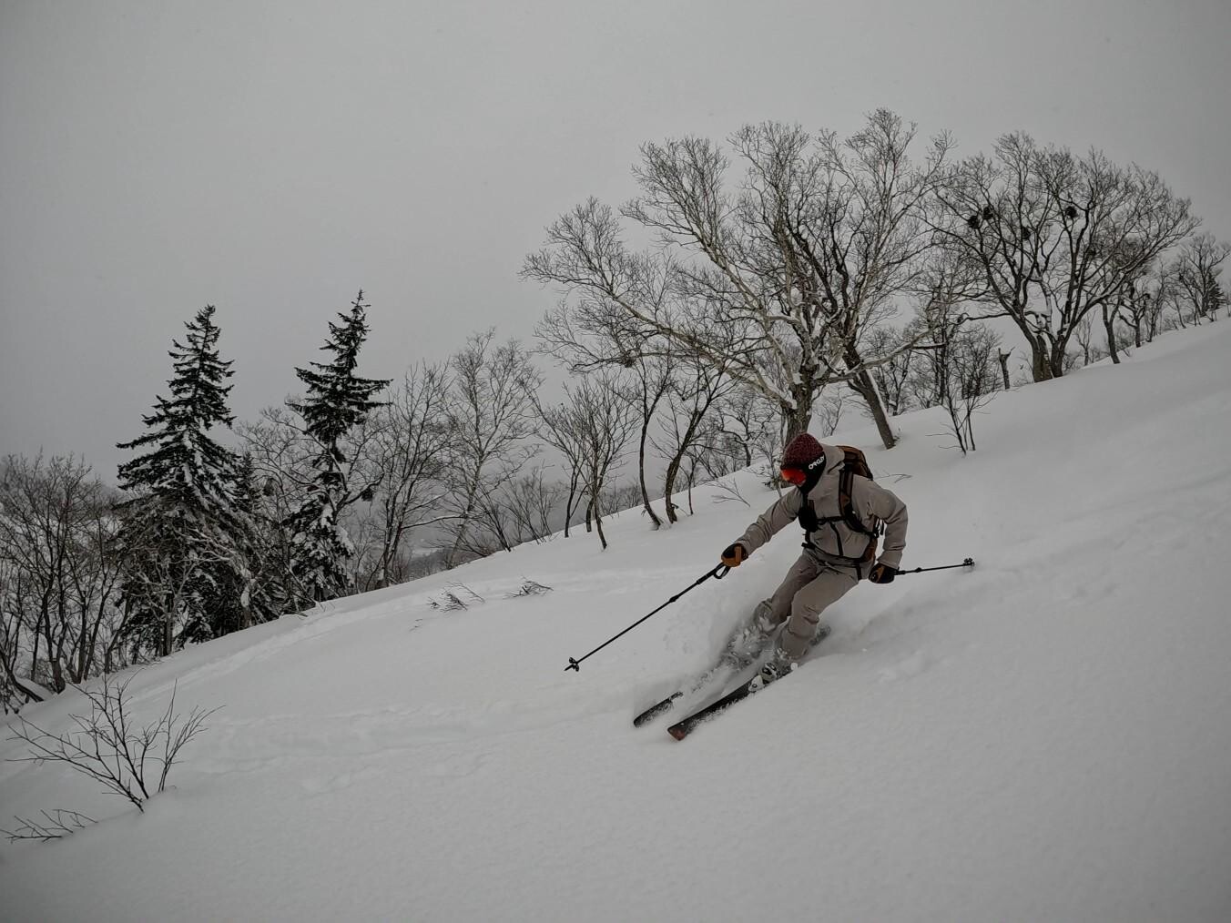 冬山はじめました / 2053mさんの南浅羽山の活動データ | YAMAP / ヤマップ