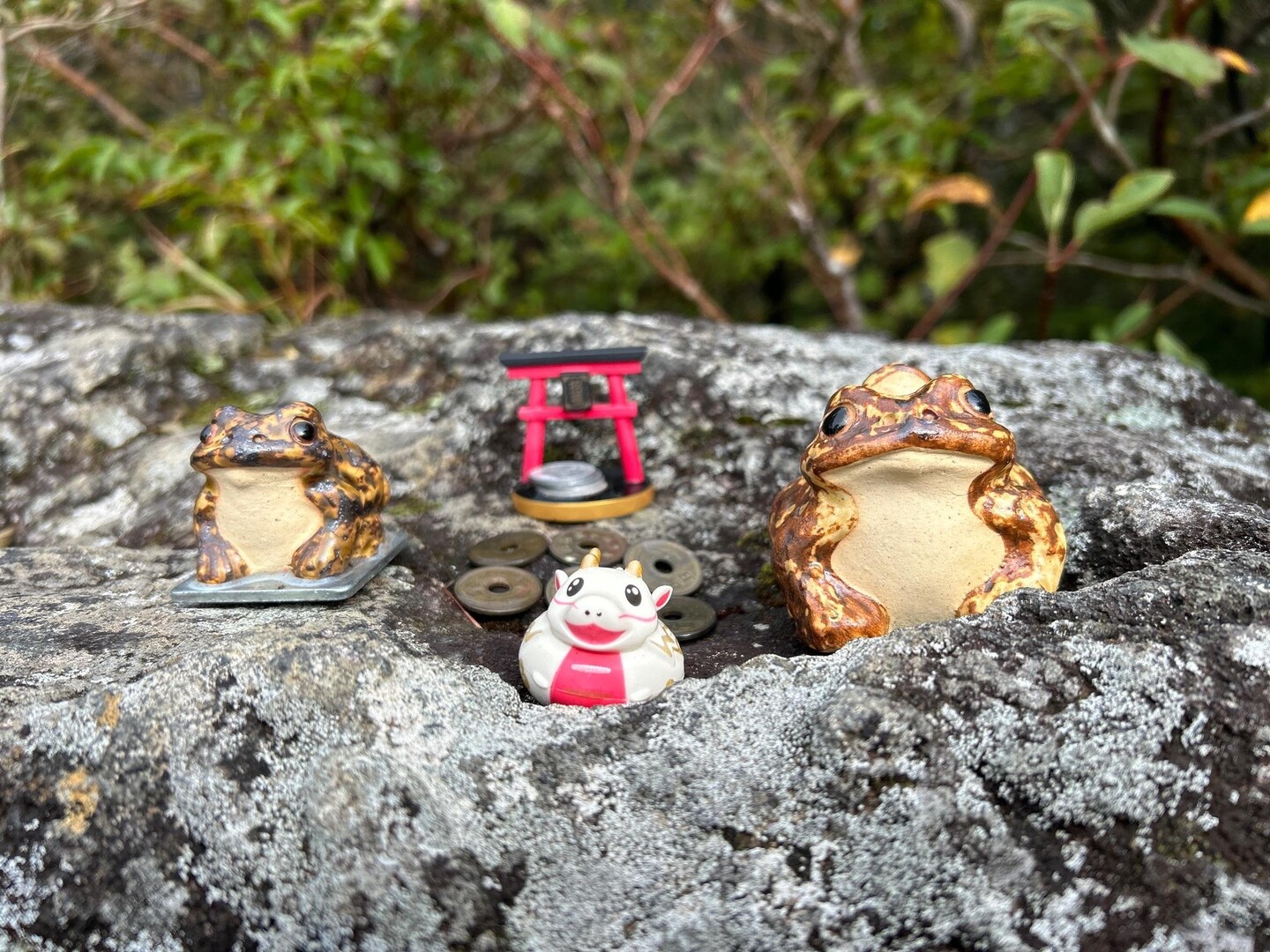 椎尾山・坊主山・筑波山（男体山）・筑波山（女体山） / tottuanさんの筑波山の活動データ | YAMAP / ヤマップ