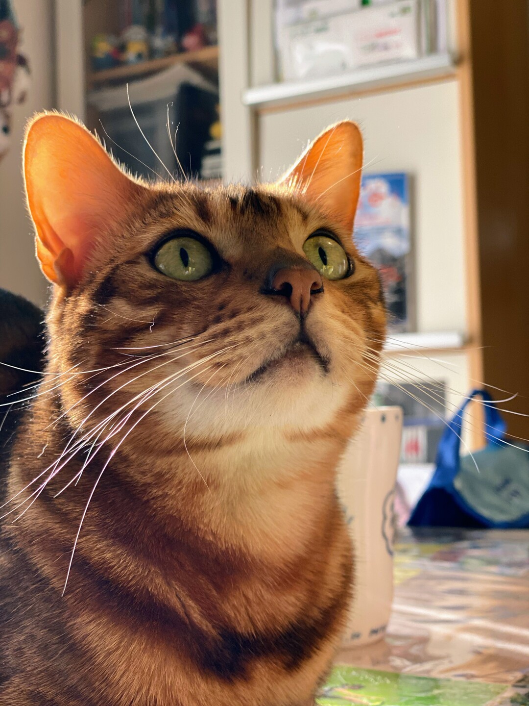 新しいシーズンが始まりました^^ ゴー... / TKR&Dさんのモーメント | YAMAP / ヤマップ