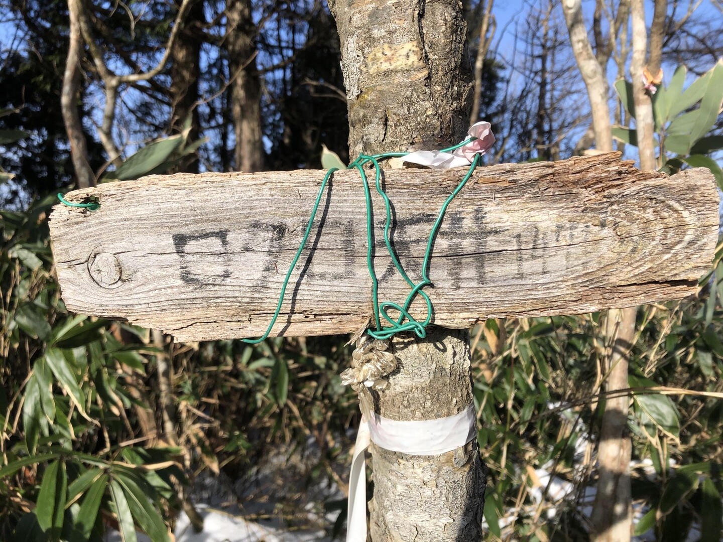 ロクロ天井・天狗森山 / takawestさんの天狗森山・橋ヶ谷山の活動データ | YAMAP / ヤマップ