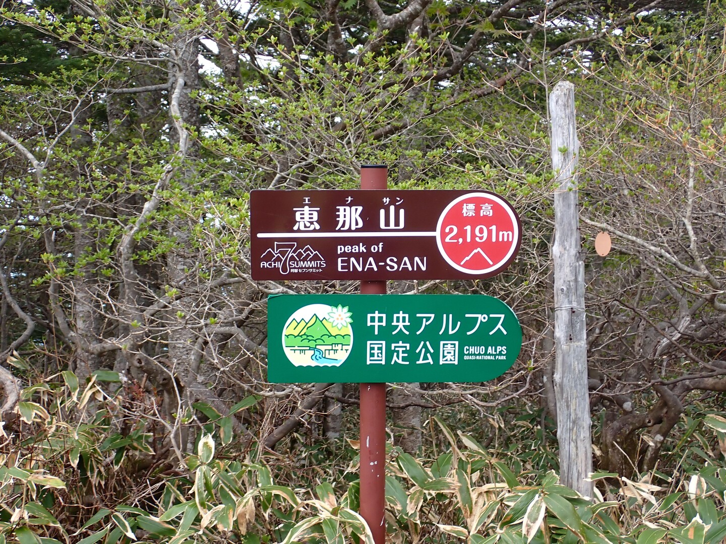 ちょこっと遠征、恵那山～♫(^o^)♫ / 3110さんの恵那山・大判山・神坂山の活動データ | YAMAP / ヤマップ