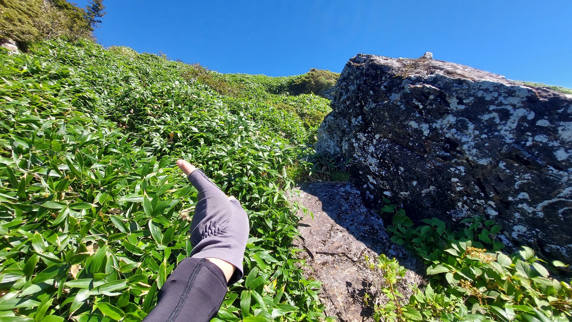 tolucky(^^)さんの投稿したフィールドメモ | YAMAP / ヤマップ