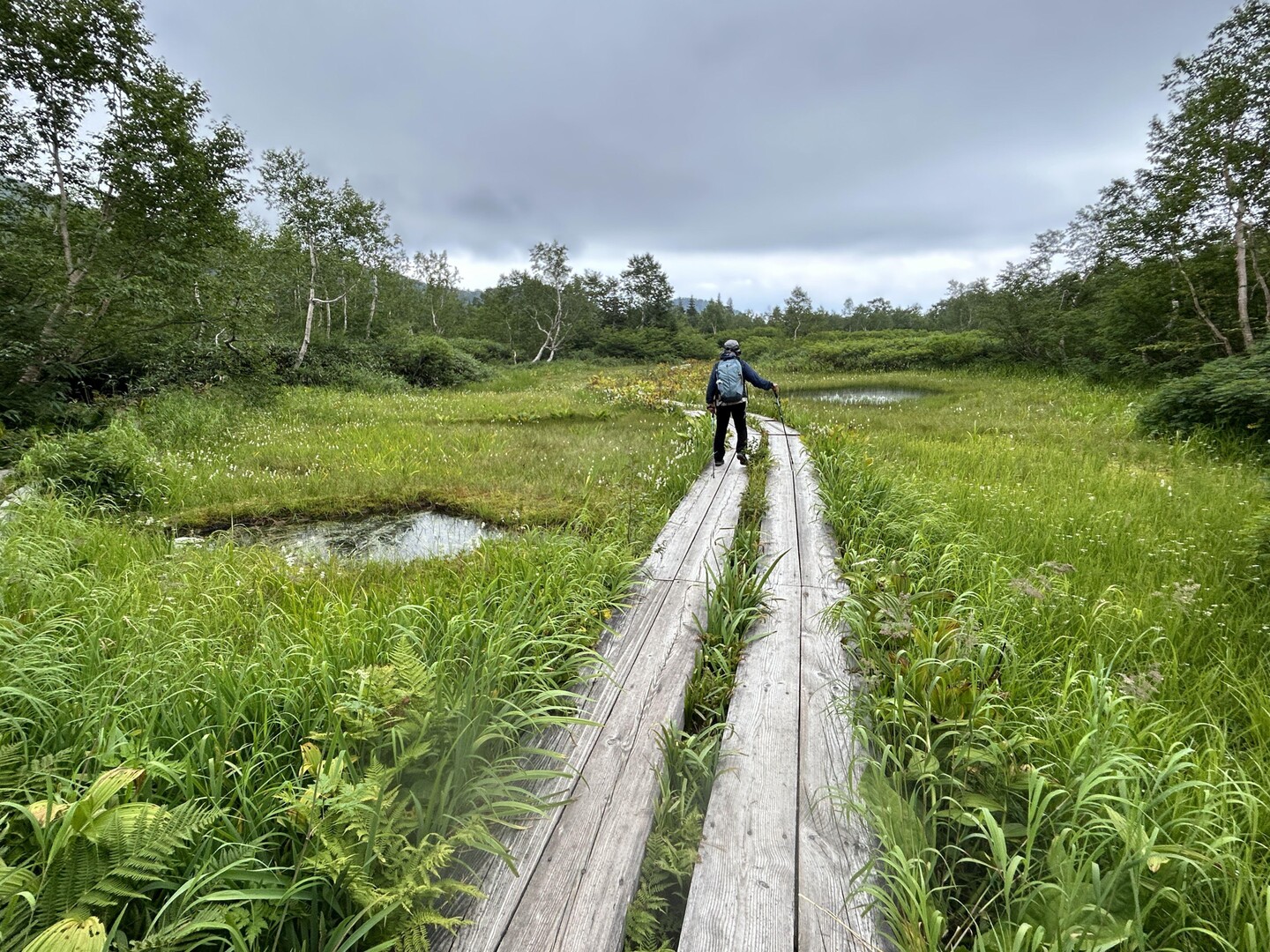 栂池自然園 / sensaさんの雪倉岳・朝日岳・風吹岳の活動データ | YAMAP / ヤマップ