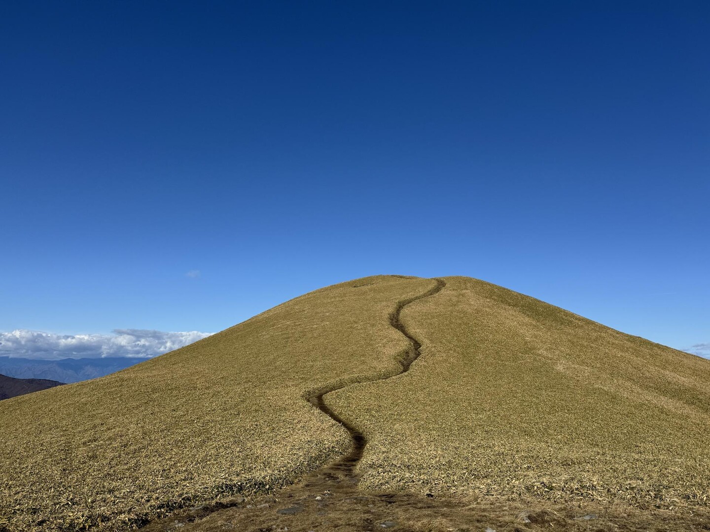 和田峠から三峰山 / mikiさんの三峰山 マウンテンドクター巡礼マップの活動データ | YAMAP / ヤマップ