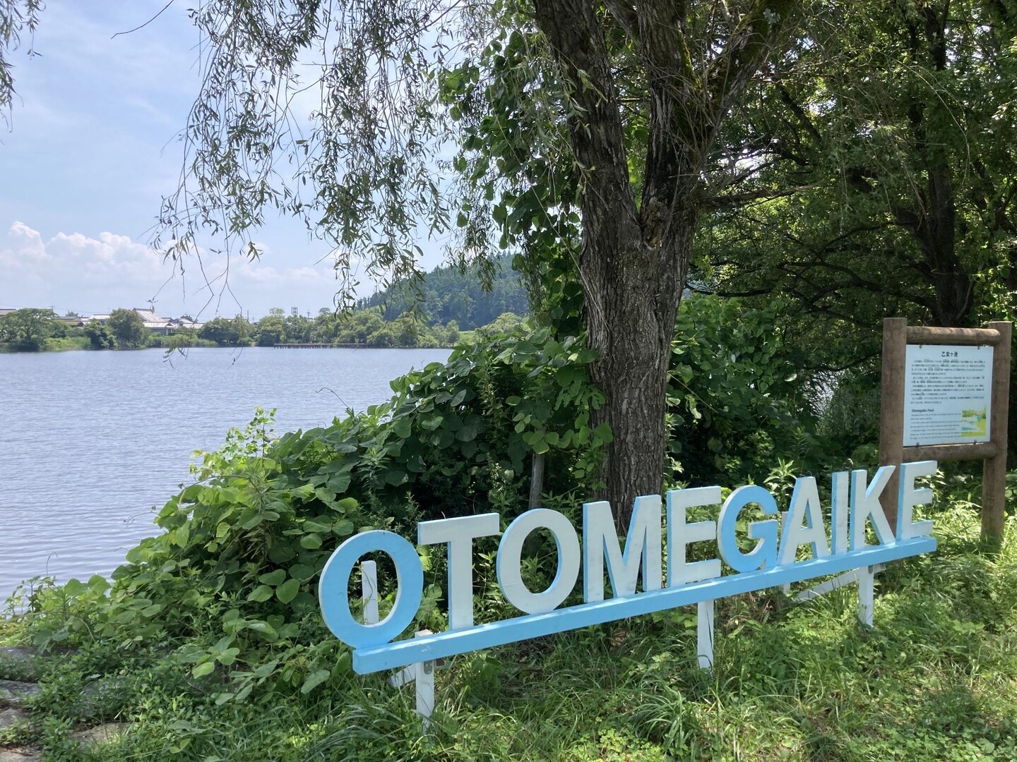 20240721 琵琶湖一周⑤近江舞子-安曇川 / Eno-chanさんのウォーキングの活動データ | YAMAP / ヤマップ