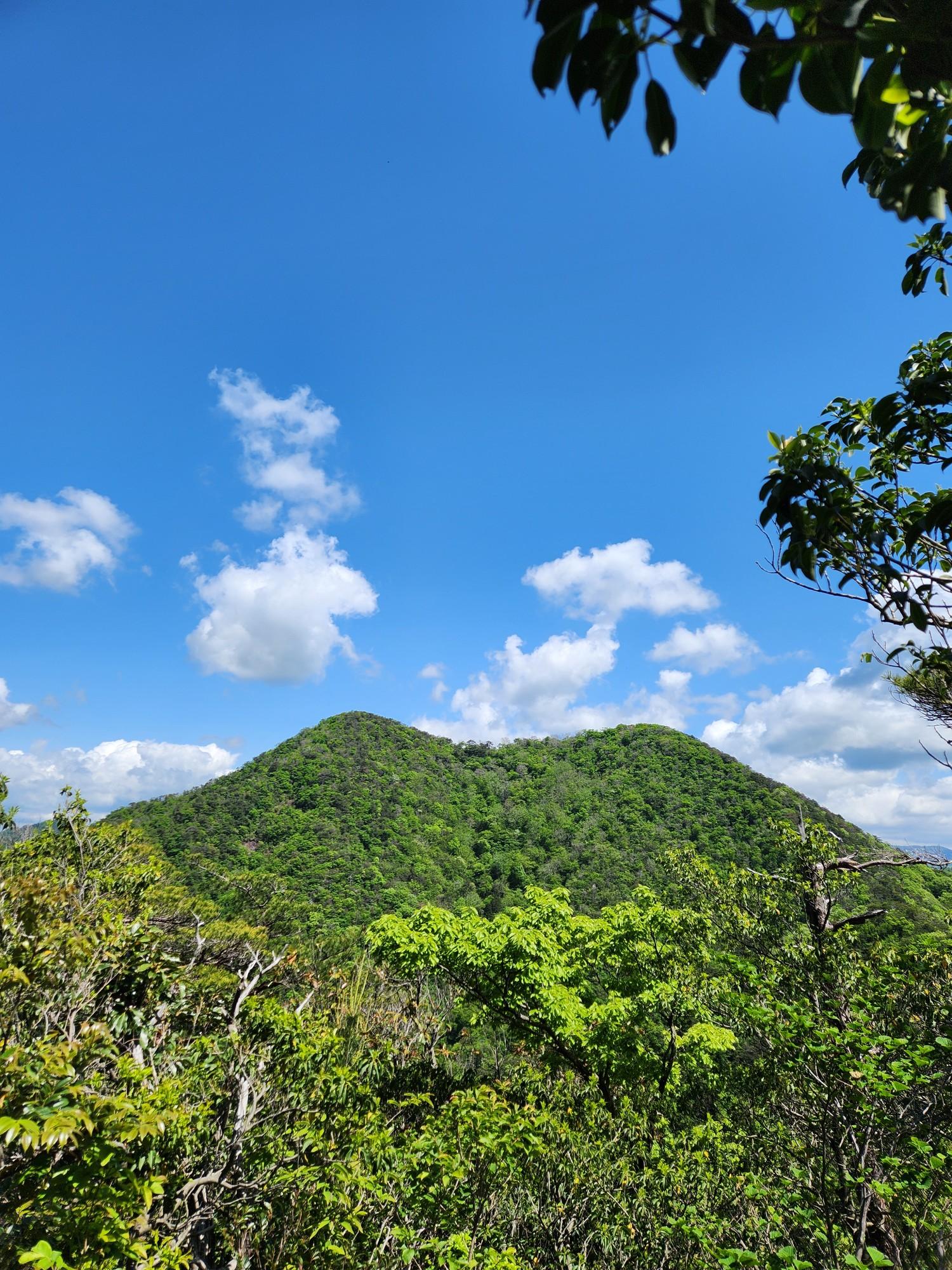 新緑の鞍掛山・後山‪💚 / chieさんの鞍掛山・後山・三童子山の活動データ | YAMAP / ヤマップ