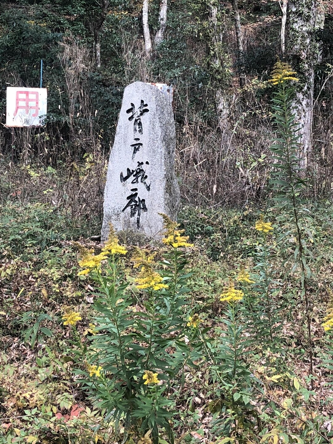 お昼のBBQ前に 背戸峨廊ハイキング / つかっちーさんのモーメント | YAMAP / ヤマップ
