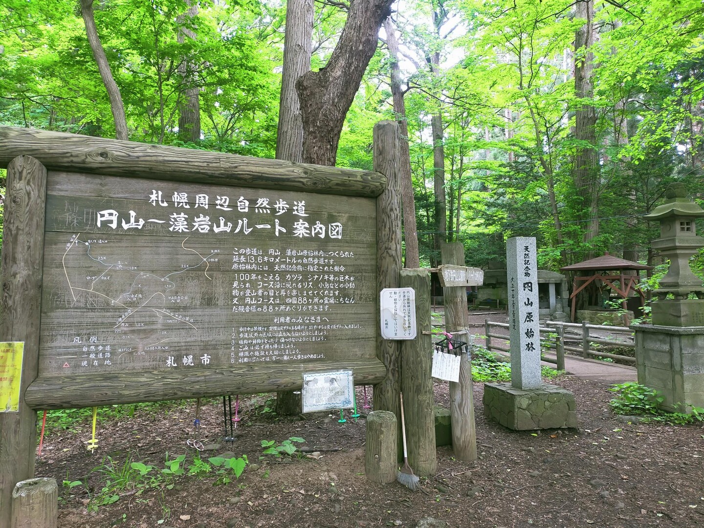 円山 / saonさんの藻岩山の活動データ | YAMAP / ヤマップ