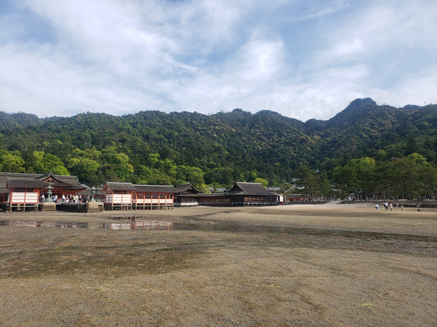 22.5.5 今年もみんなと弥山登山🗻 / はなさんの宮島（厳島）・弥山の活動データ | YAMAP / ヤマップ