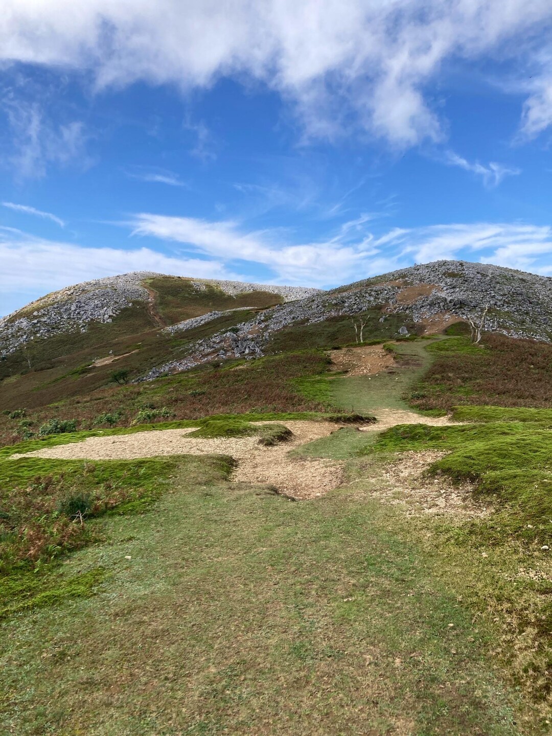 南霊岳・霊仙山最高点・霊仙山・経塚山 / OHさんの霊仙山の活動データ | YAMAP / ヤマップ