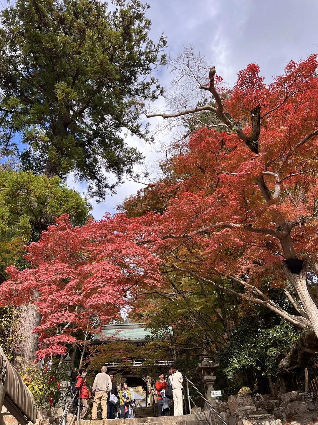 女体山 (長尾）・女体山（石田） / 1091maruさんの四国遍路その21の活動データ | YAMAP / ヤマップ