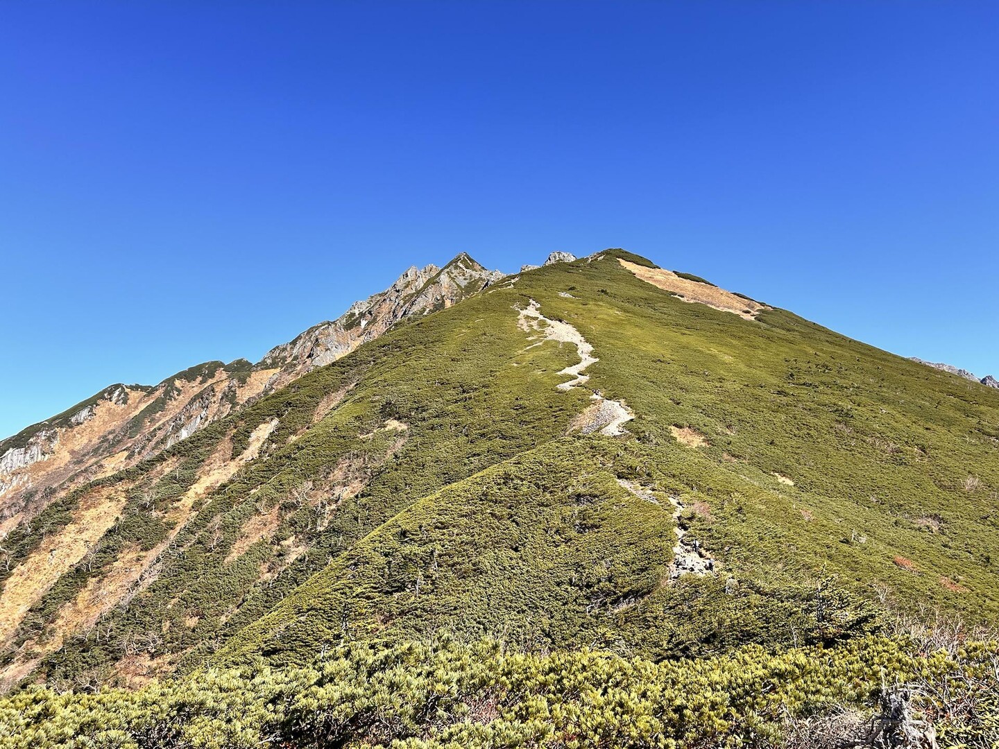 西穂丸山・西穂独標 / godeyeさんの槍ヶ岳・穂高岳・上高地の活動データ | YAMAP / ヤマップ