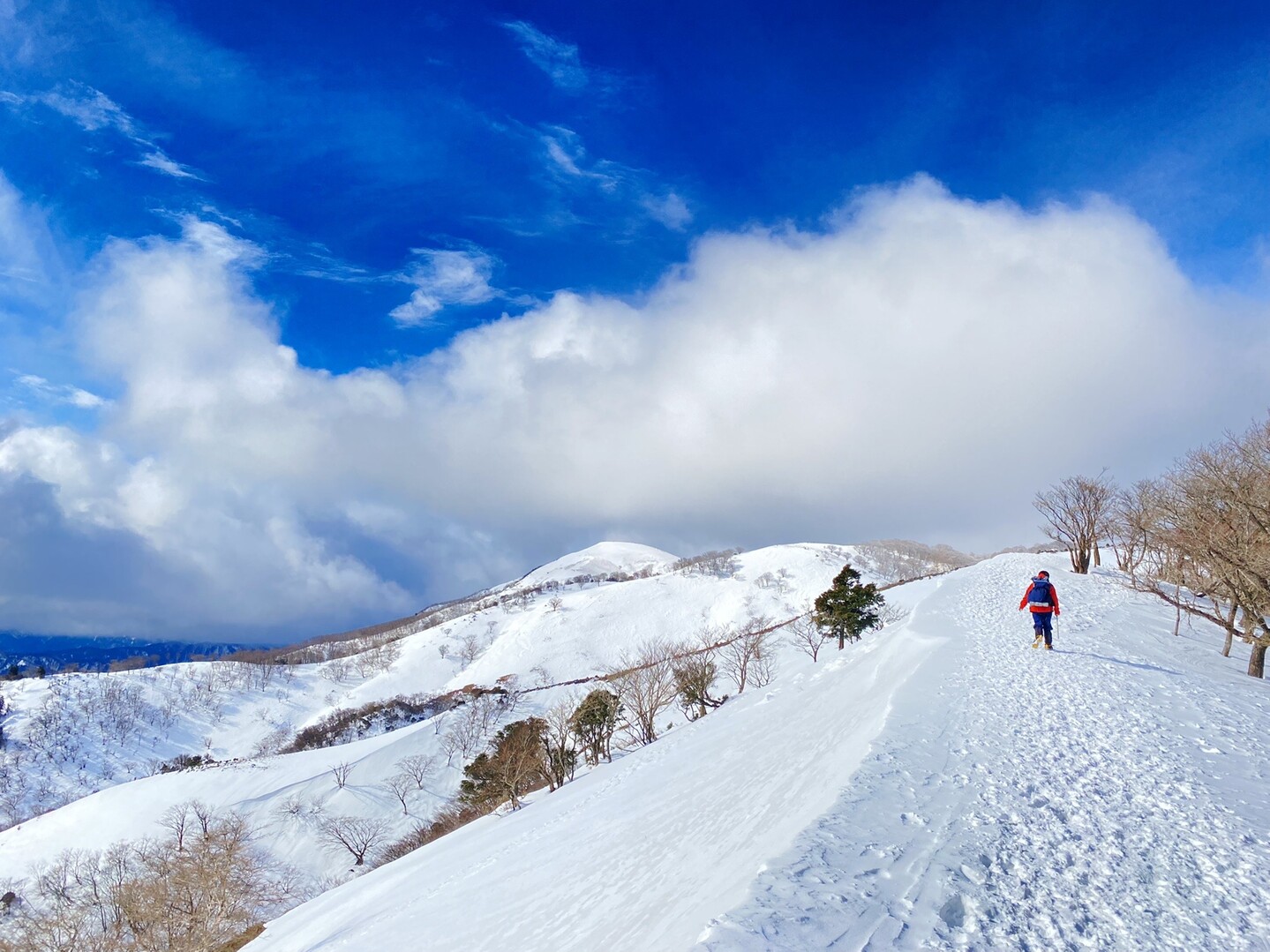 素晴らしき世界へ〜 ご案内〜💁🏼‍♀️💕 / moco*さんの竜ヶ岳の活動データ | YAMAP / ヤマップ