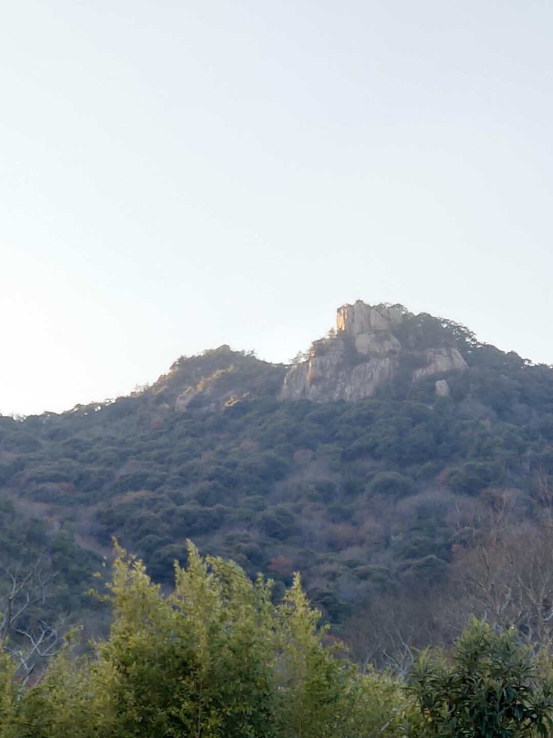 陶ヶ岳（観音山）・南原之頭・火の山・梅ノ木山・遠下山・亀山 / fujimino sadaさんの火の山・陶ヶ岳の活動データ | YAMAP / ヤマップ