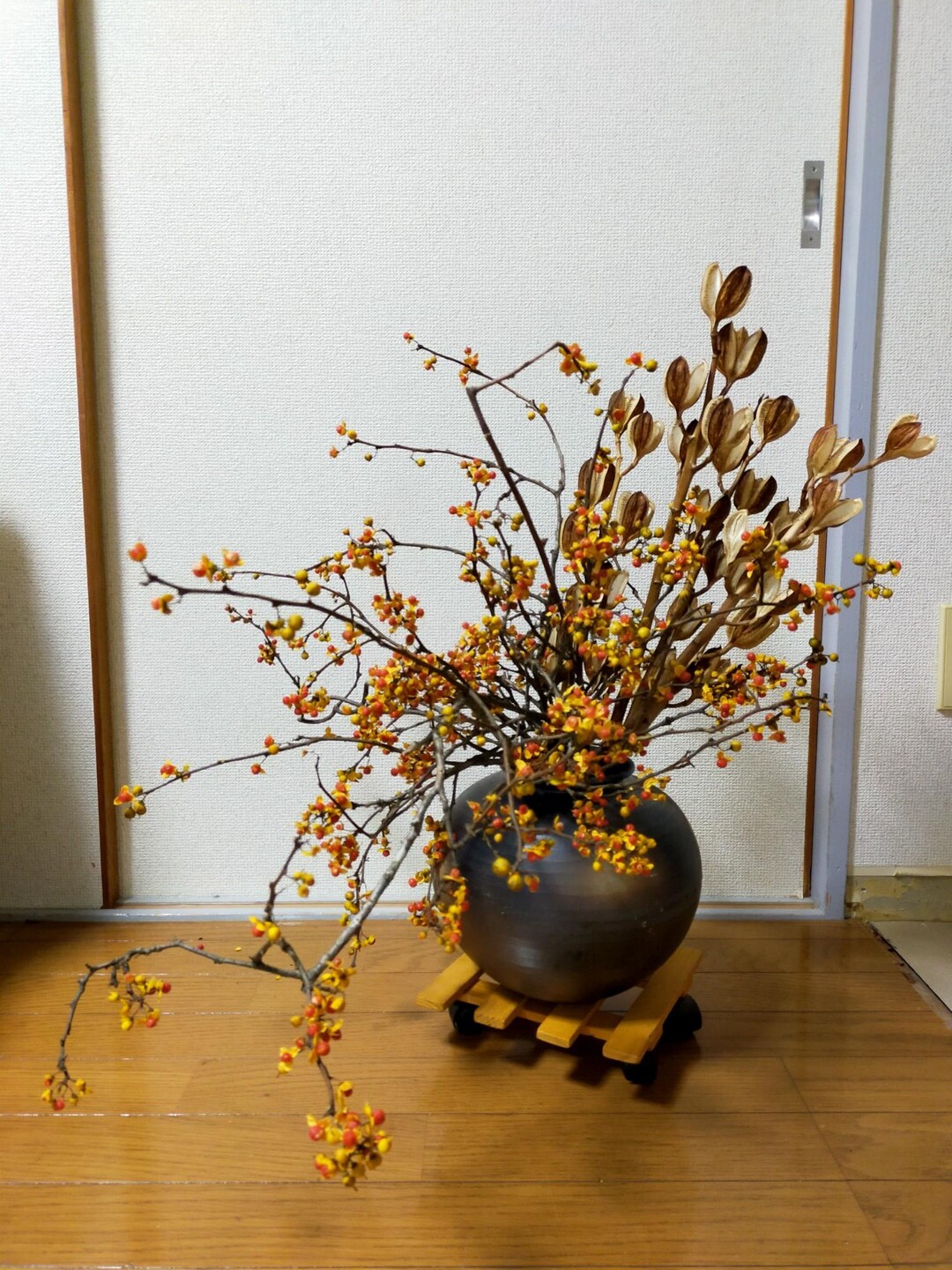 昨年と変わり映えしないけど、世代交代出来... / Berryさんのモーメント | YAMAP / ヤマップ