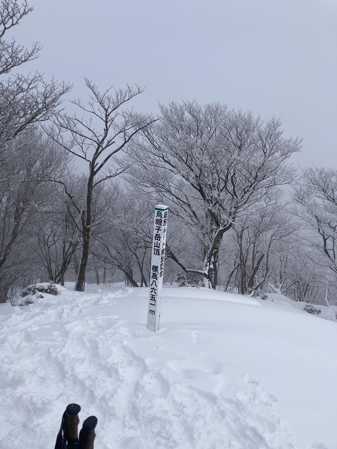狗留尊山・烏帽子岳 / joさんの三国岳・烏帽子岳・ダイラの頭の活動データ | YAMAP / ヤマップ