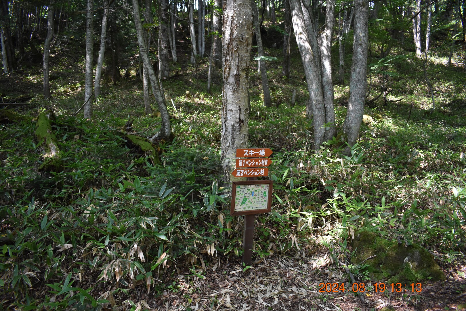 ピエール・HOSHIさんの投稿したフィールドメモ | YAMAP / ヤマップ