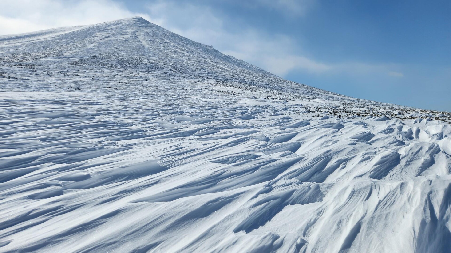 ⛷美瑛富士BC ｳﾗ側は期待ﾊｽﾞﾚ-2024-03-23 / moさんの十勝岳・富良野岳・美瑛岳の活動データ | YAMAP / ヤマップ