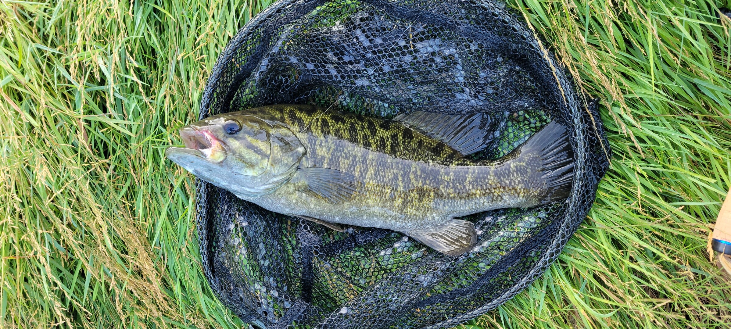 湖畔をウォーキング中、こちらも朝活中の息... / hirohiroさんのモーメント | YAMAP / ヤマップ