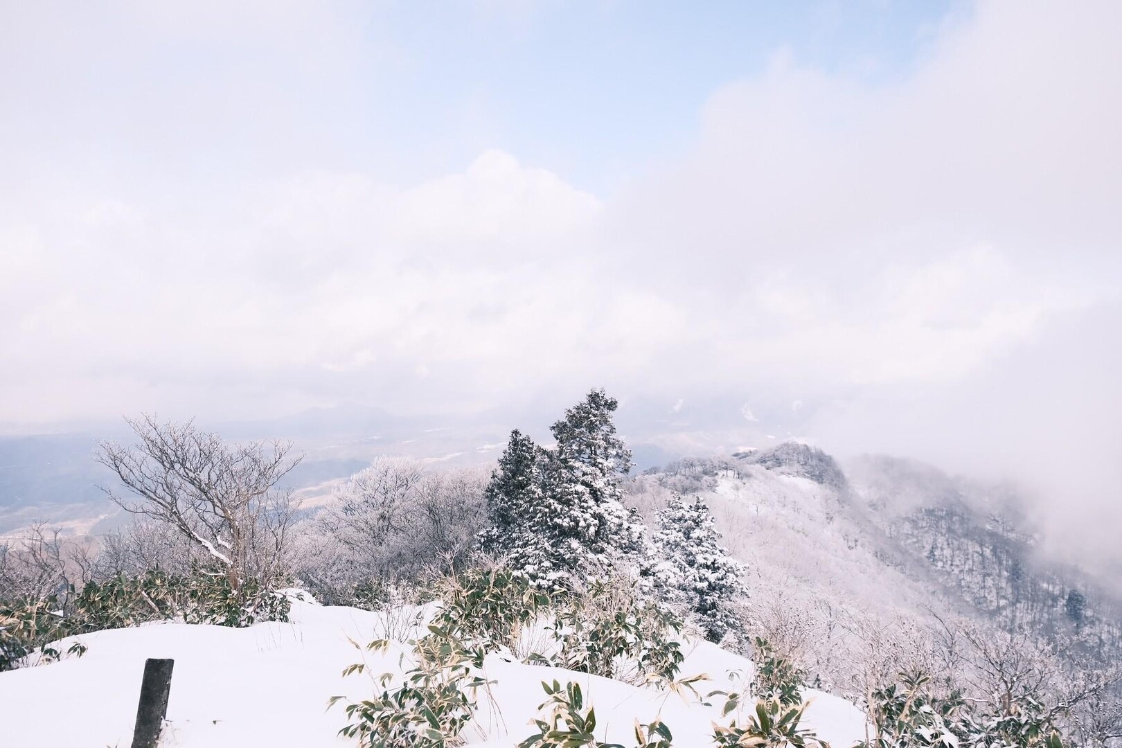 2024年登り初め・初雪山 毛無山 / setoumi よっしーさんの毛無山の活動データ | YAMAP / ヤマップ