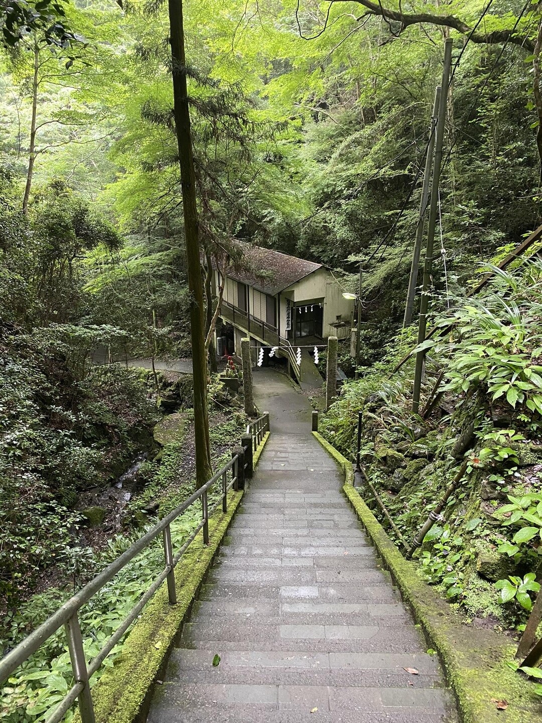 パノラマ銀座縦走前のウォーミングアップ(ザック重量10kg) / ゆうさんの高尾山・陣馬山・景信山の活動データ | YAMAP / ヤマップ