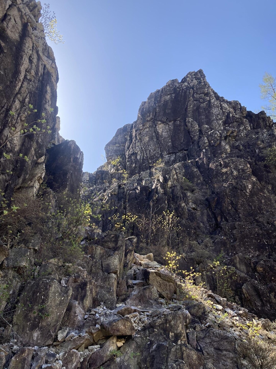初の中倉山はドキドキジャン⛰・沢入山まで / KI KIさんの皇海山・袈裟丸山・庚申山の活動日記 | YAMAP / ヤマップ