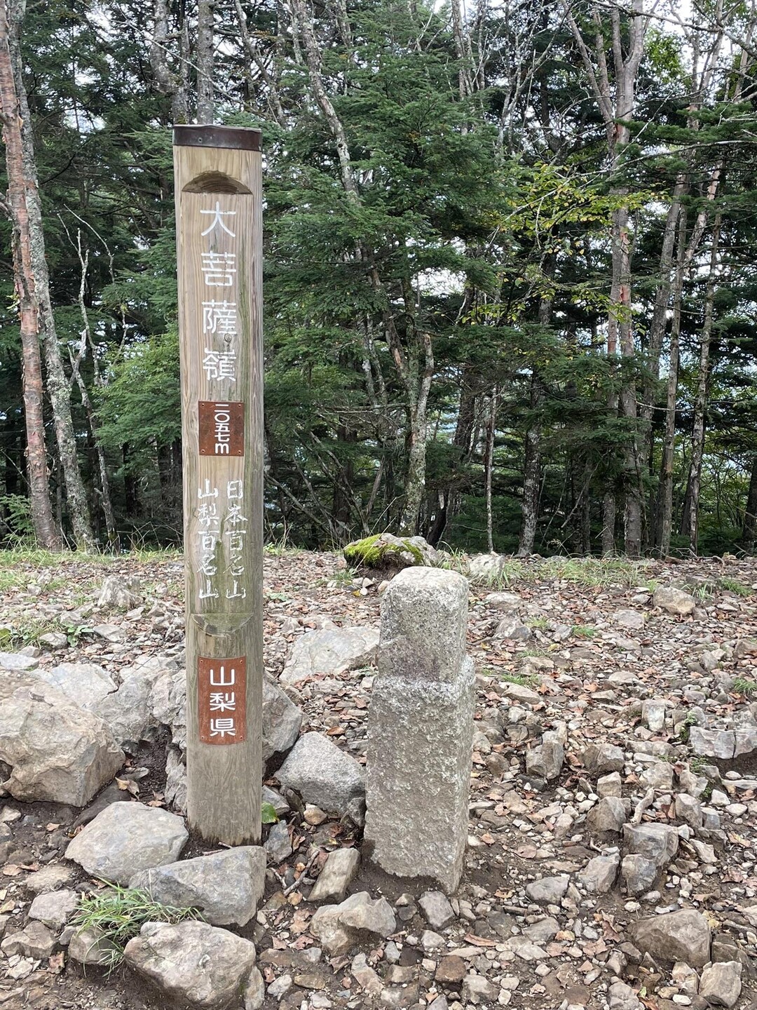 大菩薩嶺 -2024-09-14- / micoさんの大菩薩嶺・鶏冠山・大マテイ山の活動データ | YAMAP / ヤマップ